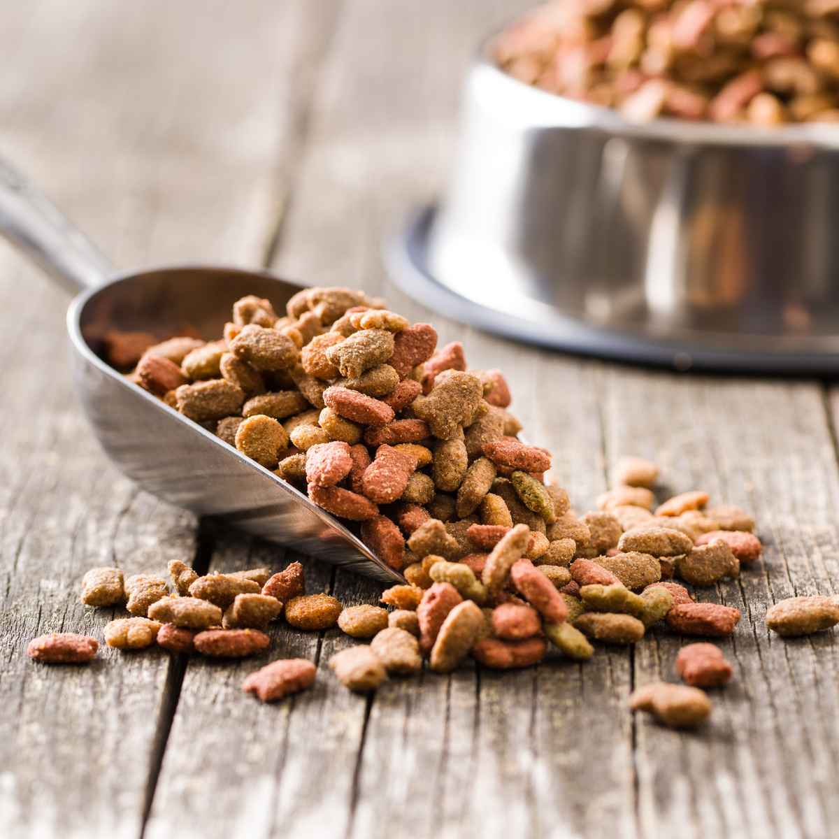 Dry Dog – Baber Animal Feeds