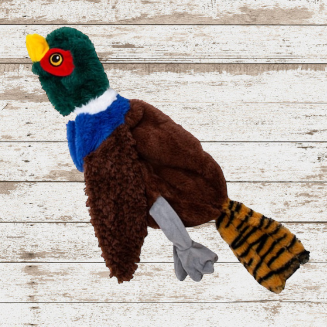 Great&Small Natural Instinct Flat Pheasant with Crinkle – Baber Animal ...